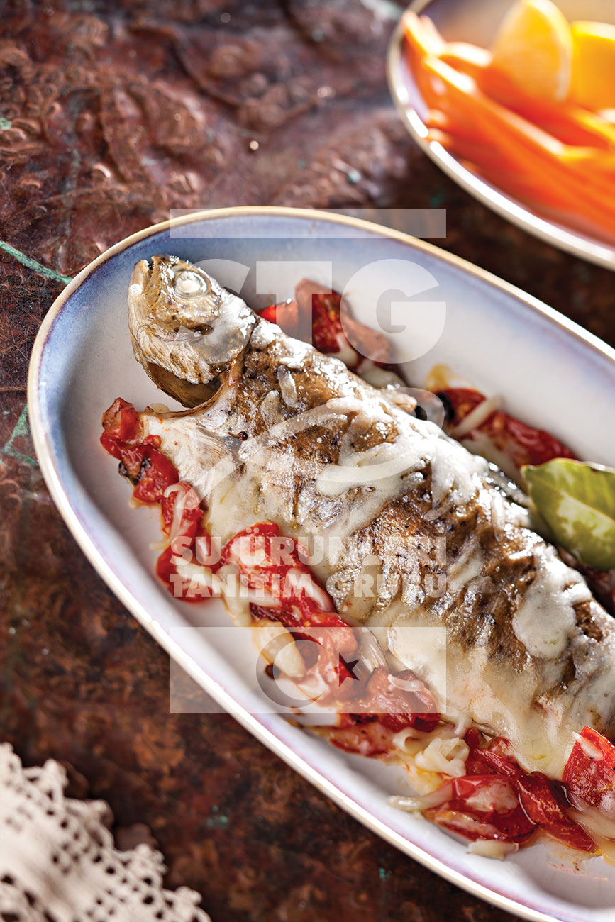 Gallery - Turkish Seafood Promotion Committe