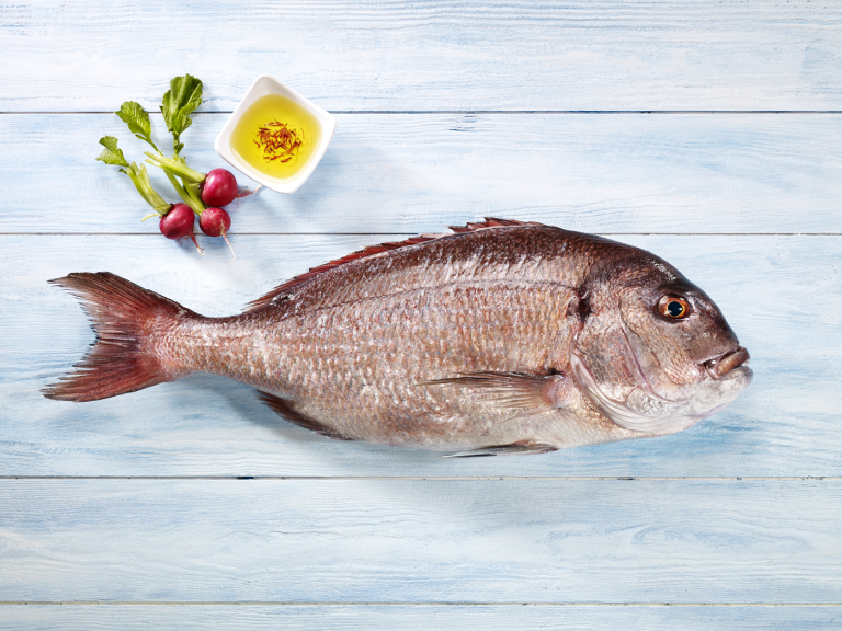 Fish Species - Turkish Seafood Promotion Committe