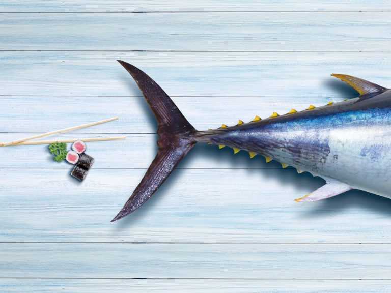 Fish Species - Turkish Seafood Promotion Committe