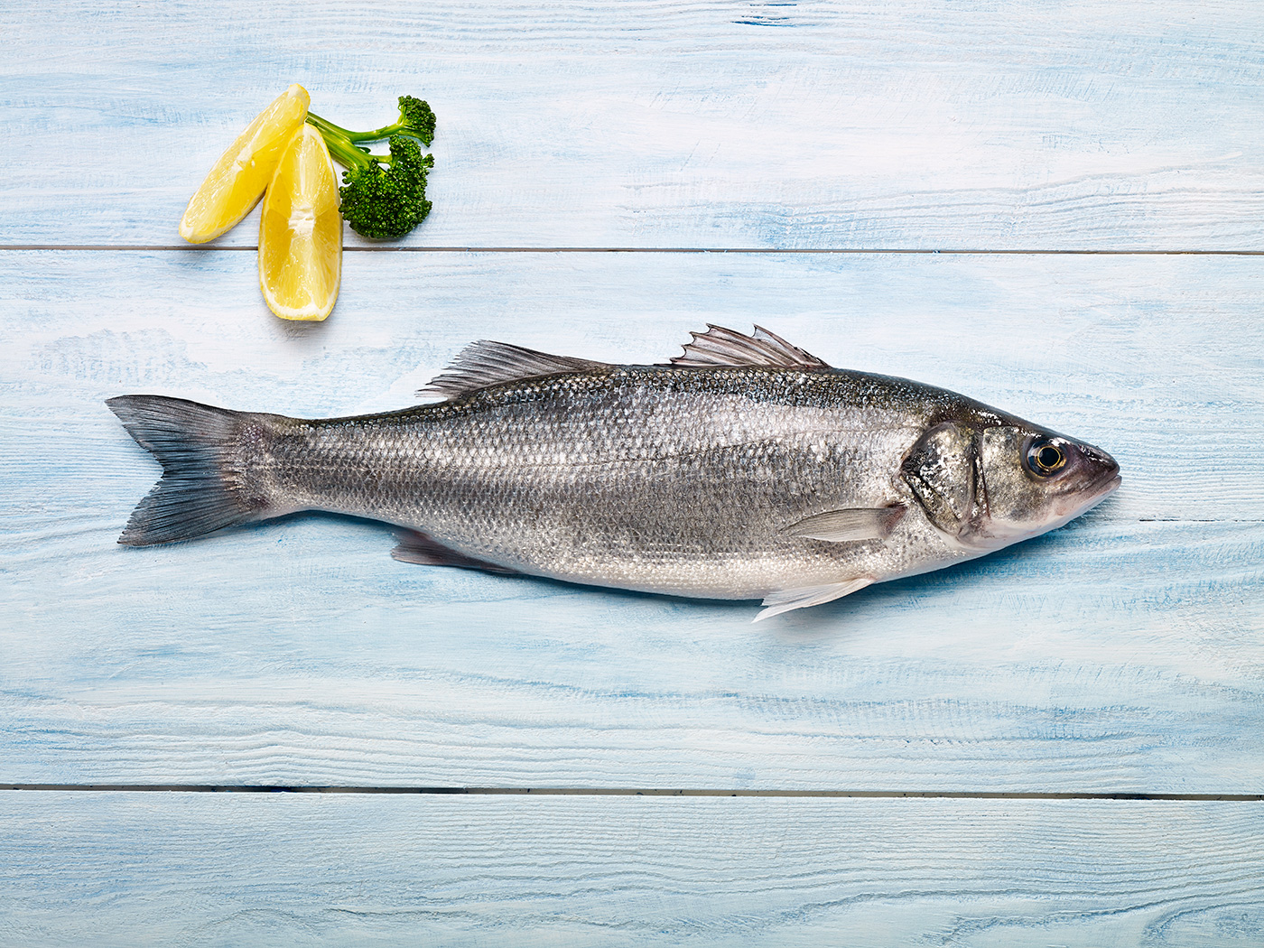 Fish Species - Turkish Seafood Promotion Committe