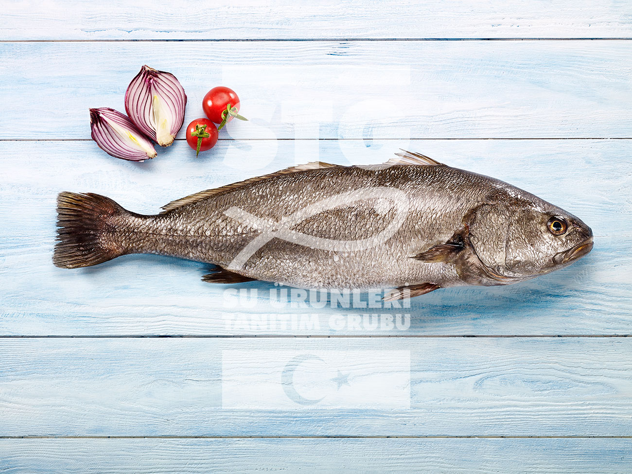 Gallery - Turkish Seafood Promotion Committe